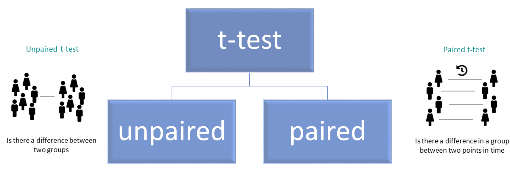Week 4 Activities (T-tests in R)
